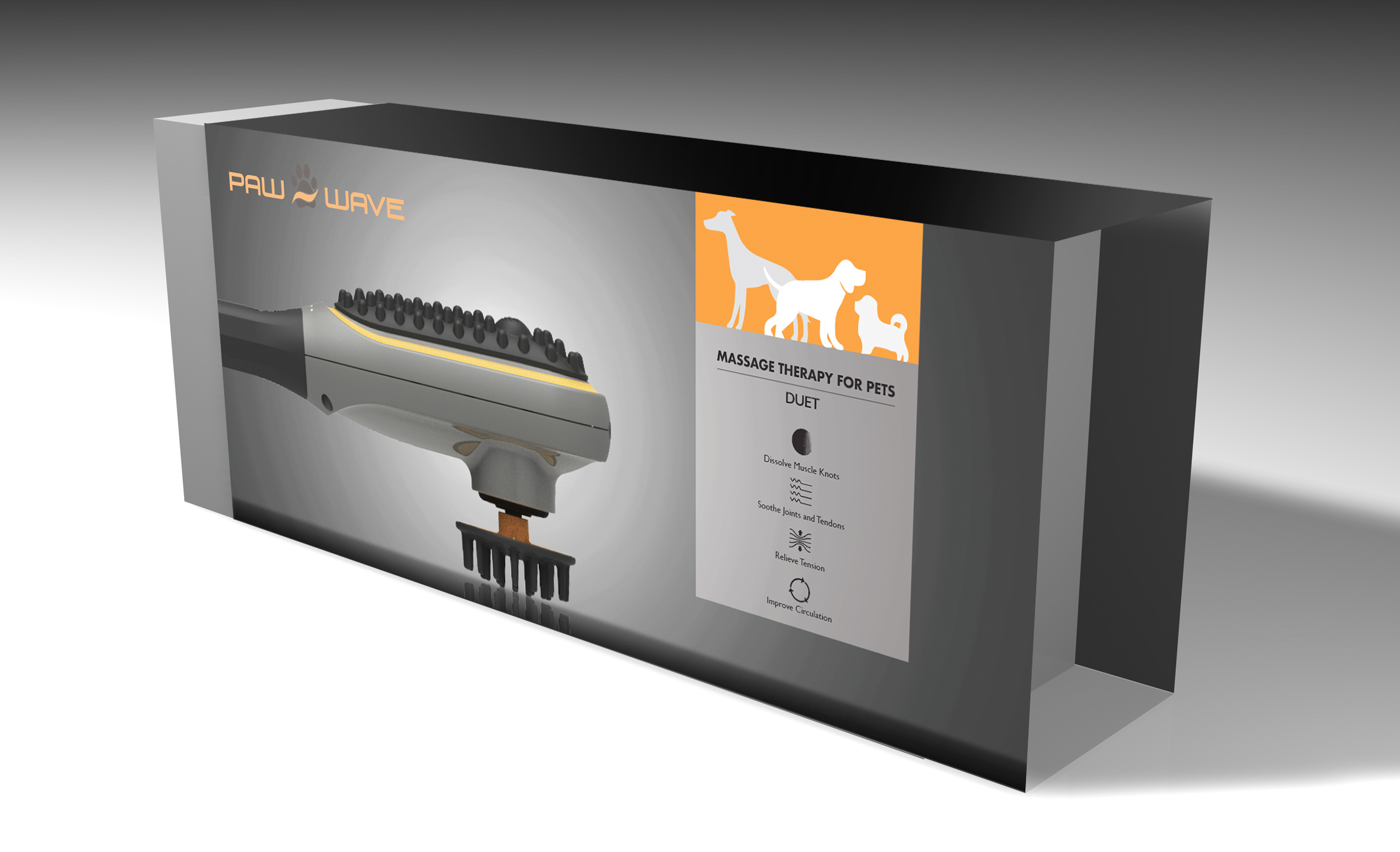 Developing Projects – EVAN YANG